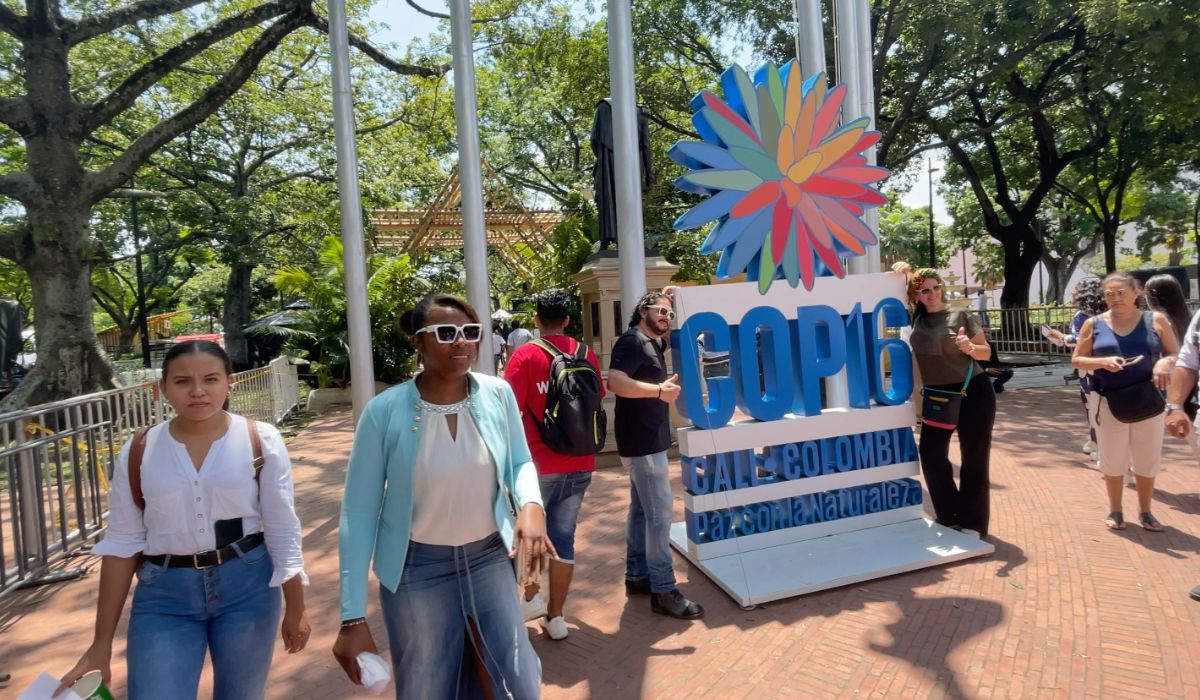 Comenzó la COP 16 en Colombia, estos son los eventos que la Iglesia ha ...
